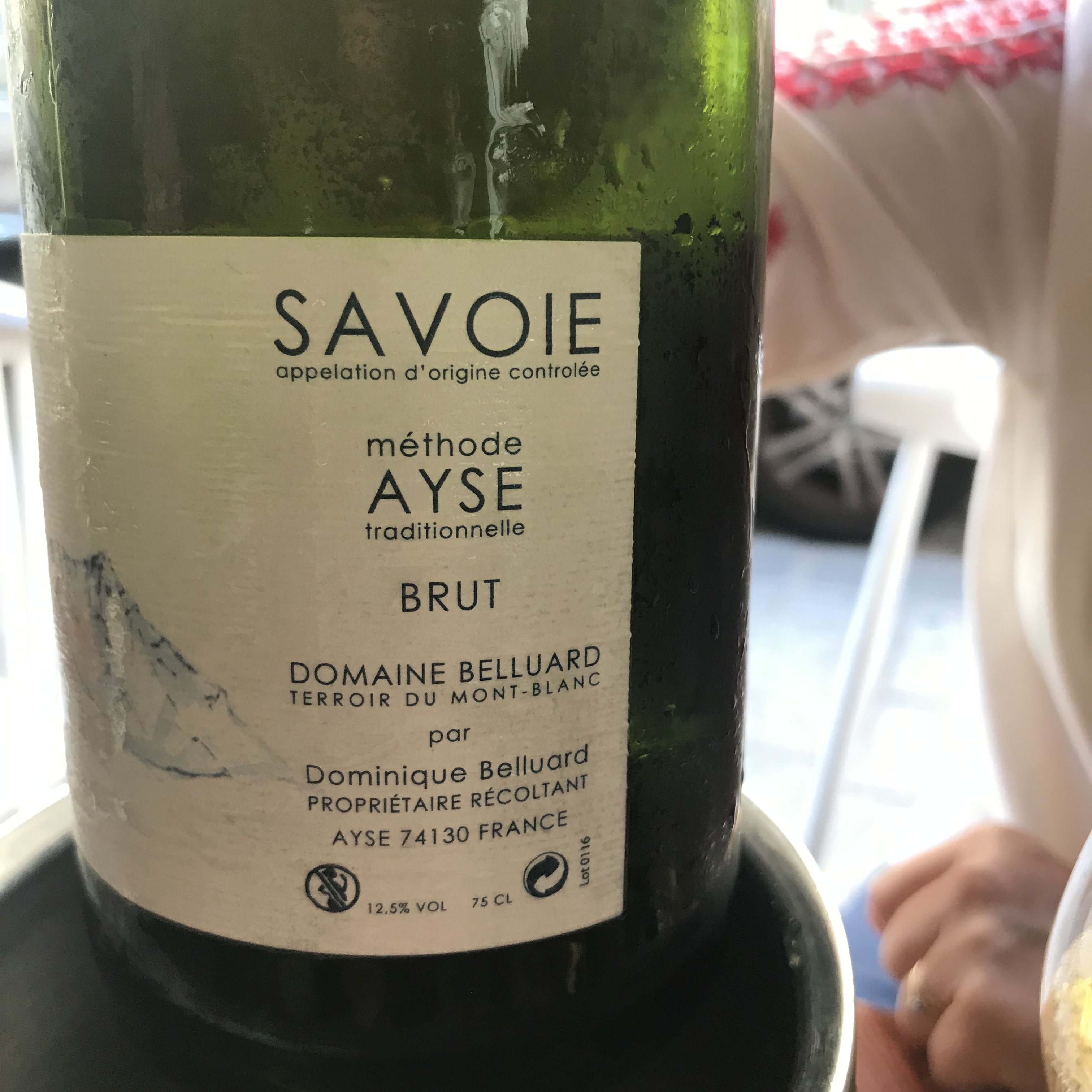 Wink Lorch’s Wines of the French Alps | David Crossley's Wide World of Wine