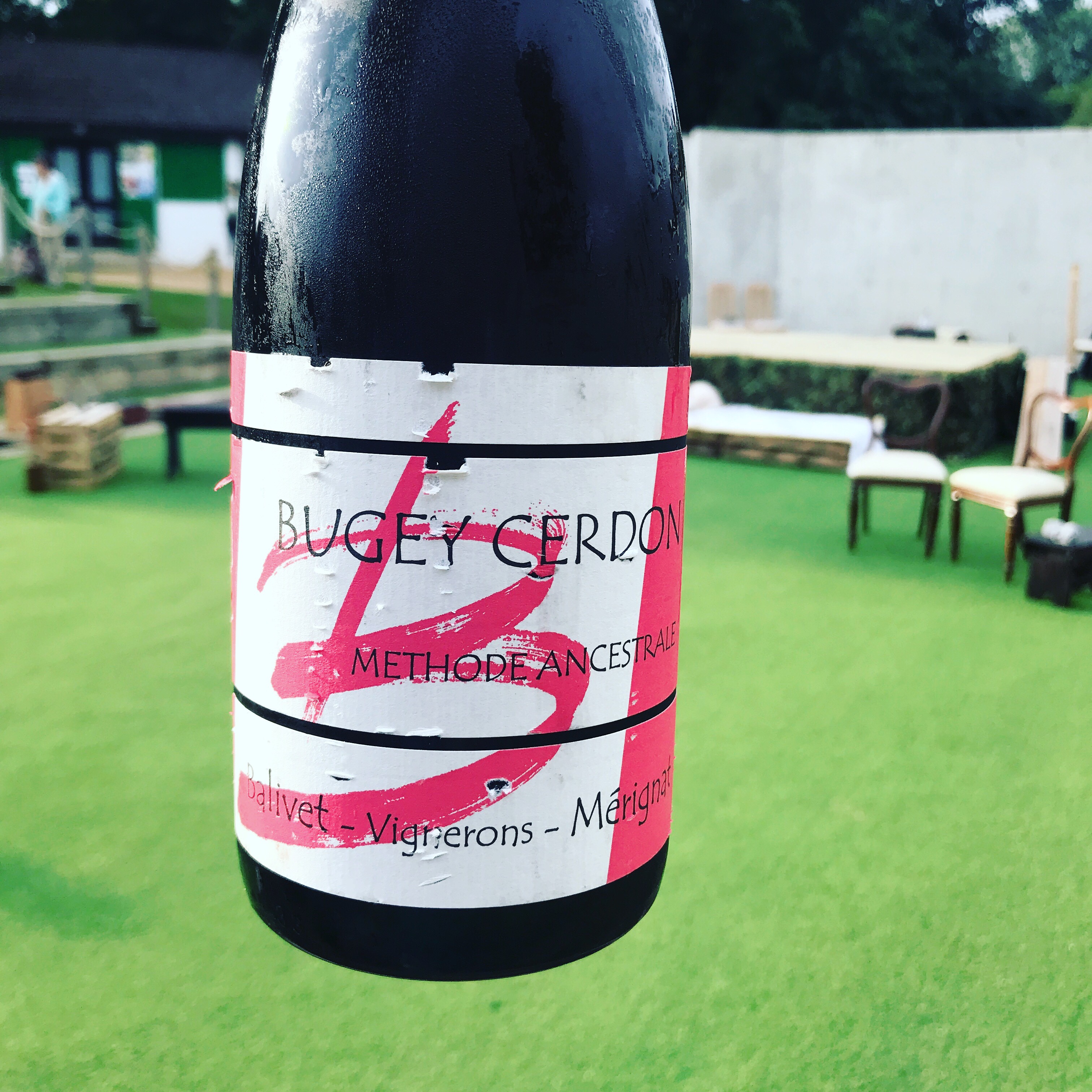 Wink Lorch’s Wines of the French Alps | David Crossley's Wide World of Wine