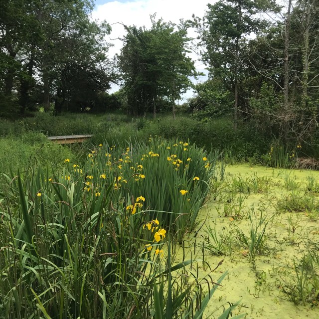 Paradise Regained – Visiting Tim Phillips | David Crossley's Wide World ...