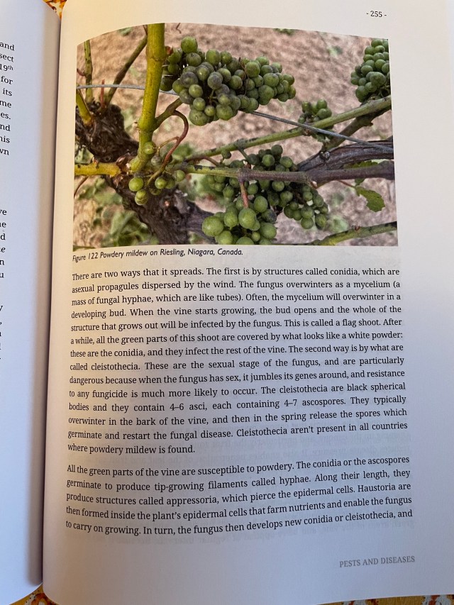 The New Viticulture by Dr Jamie Goode (Book Review) | David Crossley's ...