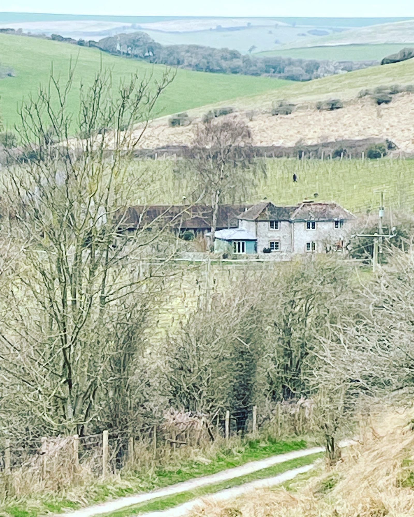 Peter Hall – Breaky Bottom (1943 – 2025) | David Crossley's Wide World of Wine